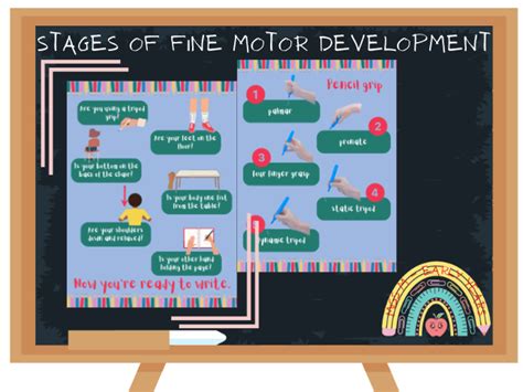 Stages Of Fine Motor Development Teaching Resources