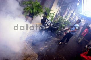 Pengasapan Untuk Mencegah Penyebaran Wabah Demam Berdarah DATATEMPO