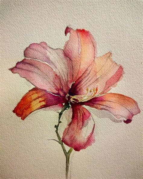Pin by Josée Van Orshaegen on Snel bewaren in 2024 Watercolor flowers