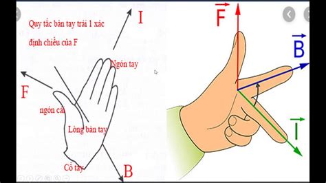 Vật lý 11 quy tắc bàn tay trái xác định lực từ tác dụng lên đoạn dây