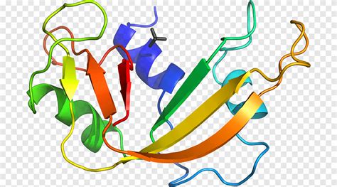 Graphic Design Organism Line Design Area Art Png PNGEgg