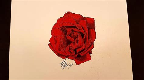 Realistic Rose Coloured Pencil Drawing Youtube