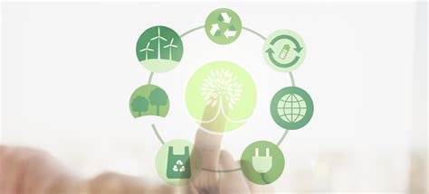 Empreendedorismo Sustentável por que colocá lo em prática