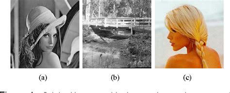 figure 1 from salt and pepper noise removal by adaptive median filter and minimal surface