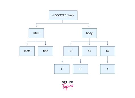 What Is The Structure Of Html Document Scaler Topics