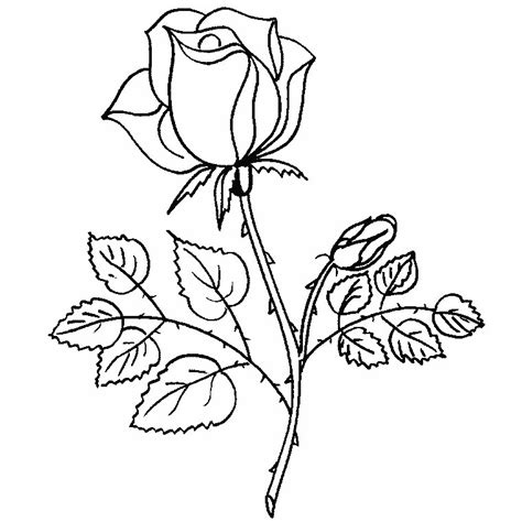 Dessins De Coloriage Roses Imprimer Sur Laguerche Page