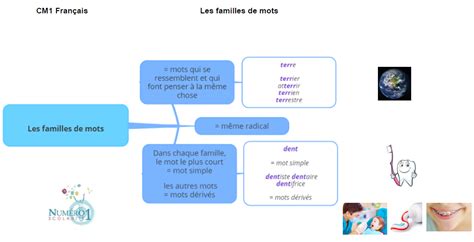 Les familles de mots leçon et exercices CM1
