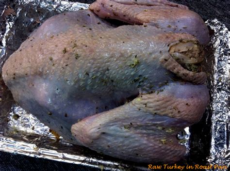 Roasting A Turkey With Convection Oven