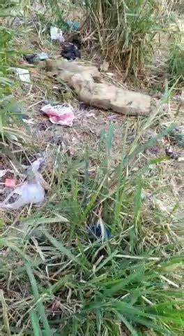 Predio donde Harán Una Champa Para Familia Mejía Martínez Pagando