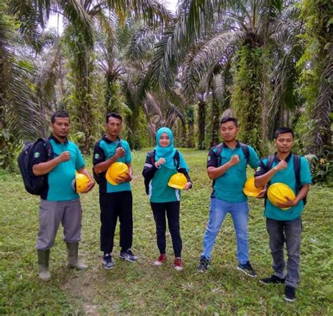 Perkebunan Kelapa Sawit Wajib Terapkan K Elaeis Co