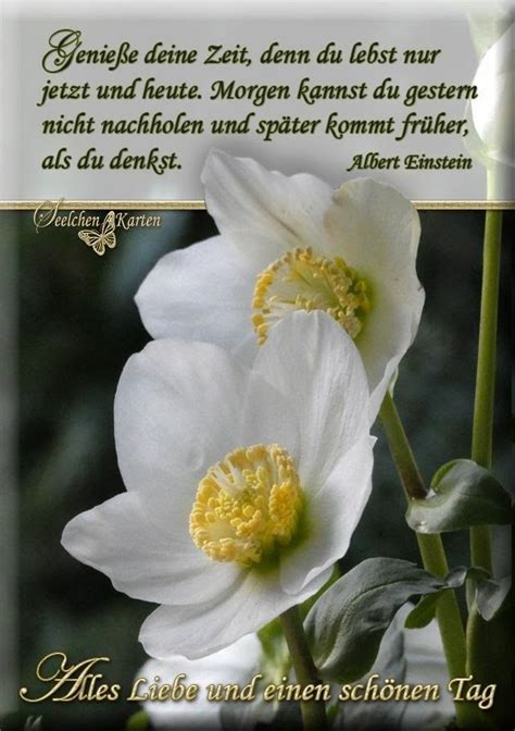 Two White Flowers With Yellow Stamens In Front Of A Quote From The