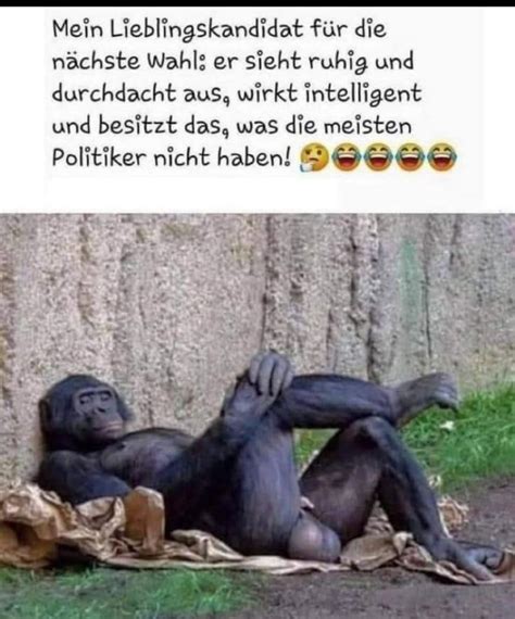 Pin Von Mij Doeve Auf Grappig Witze Lustig Lustig Humor Lustig