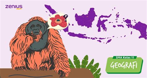 Peta Persebaran Flora Dan Fauna Di Indonesia Materi Geografi Kelas