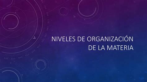 Solution Niveles De Organizaci N De La Materia Studypool