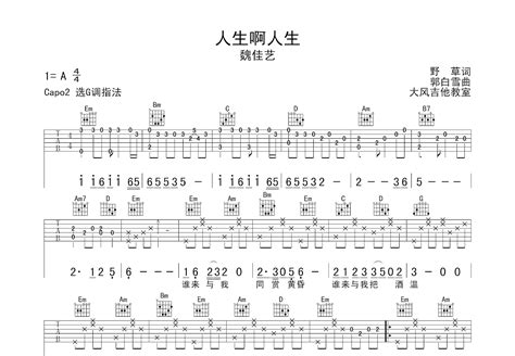 人生啊人生吉他谱 魏佳艺 G调弹唱81 专辑版 吉他世界