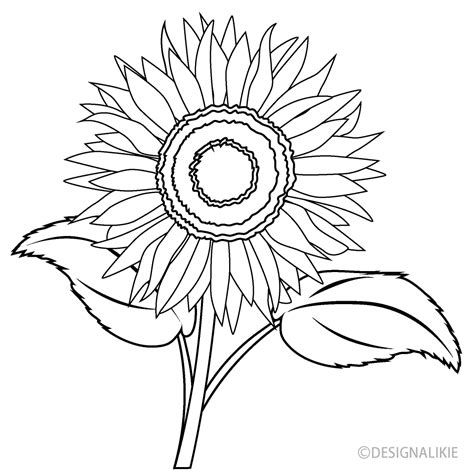 Clipart Sunflowers Black And White