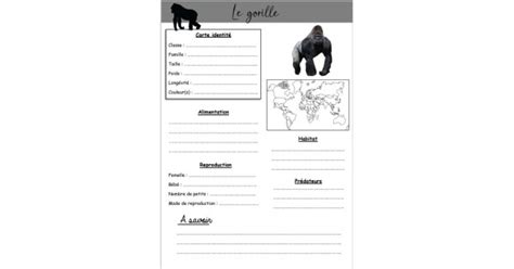 Fiche identité animaux