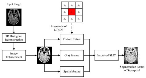 brain sciences free full text image segmentation of brain mri based on ltridp and