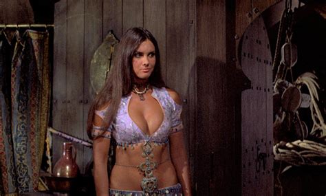The Golden Voyage Of Sinbad