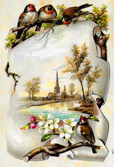 Antique Images Royalty Free Bird Flower Rose Cherry Blossom Printable