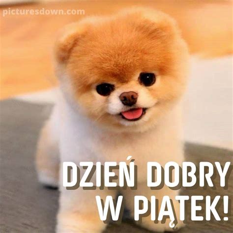 Kartka Na Wielki Piatek Ma Y Pies Za Darmo Picturesdown