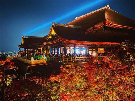 秋夜に浮かぶ古都の絶景2022年京都紅葉ライトアップ名所まとめ RETRIP リトリップ