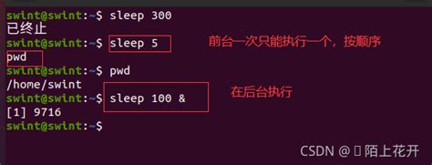 轻松掌握进程管理技巧：linux查看进程pid的命令！ linux命令大全 手册