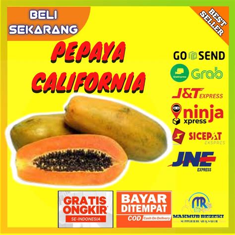 Jual BUAH PEPAYA CALIFORNIA CALINA LOKAL MANIS SEGAR MATANG HARGA PER