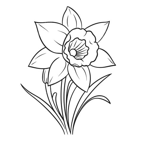Narcissus Flower Coloring Page Outline Sketch Drawing Vector Flower