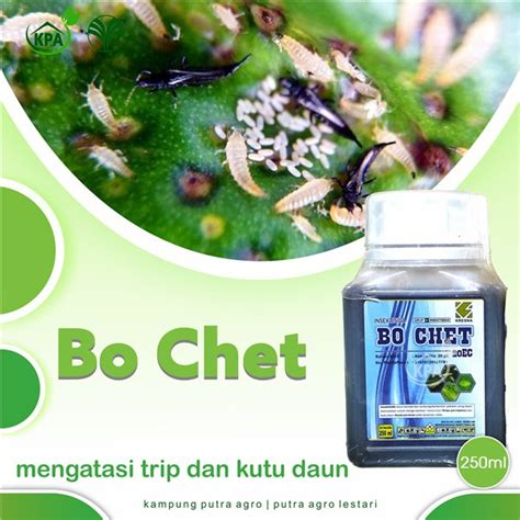 Jual Obat Anti Hama Kutu Trip Ulat Hrayak Wereng Pada Tanaman Dan