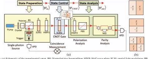 figure 1 from implementation of single photon three qubit cnot gates using spatial light