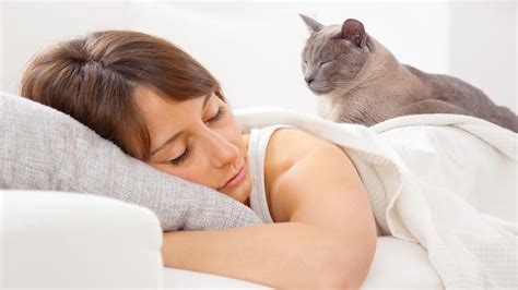 Hangat Dan Nyaman Jadi Alasan Kucing Suka Tidur Dekat Kepala Kamu