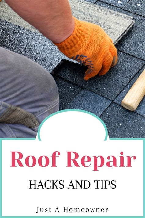Repair A Roof Leak Complete And Expert Guide On Emergency Roof Leak