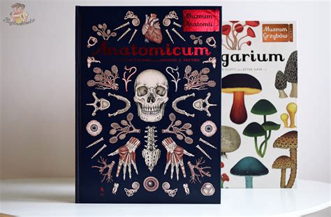 Anatomicum Bajkochłonka książki dla dzieci i gry planszowe Recenzje