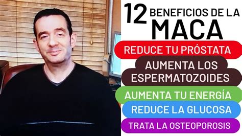 Beneficios De La Maca Negra Usos Y Propiedades Vida Bio Tu Web Sobre