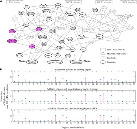 frontiers boolean feedforward neural network modeling of molecular regulatory networks for