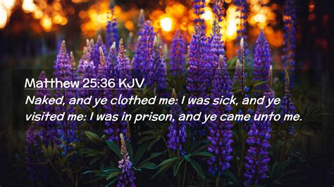 Matthew Kjv Desktop Wallpaper Naked And Ye Clothed Me I Was