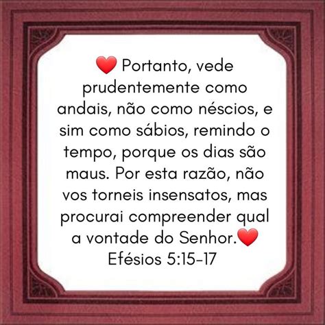 Pin de Angela Saraiva em Livro de Efésios Frases motivacionais