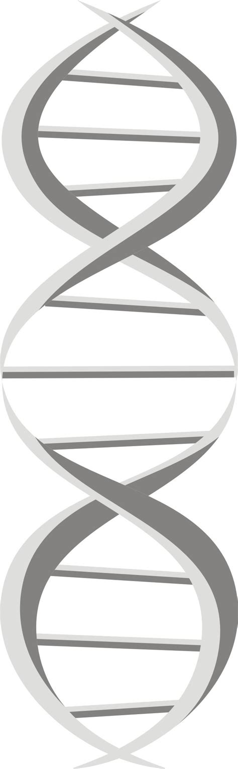 Adn Ilustraci N Banco De Im Genes Uma Divulga