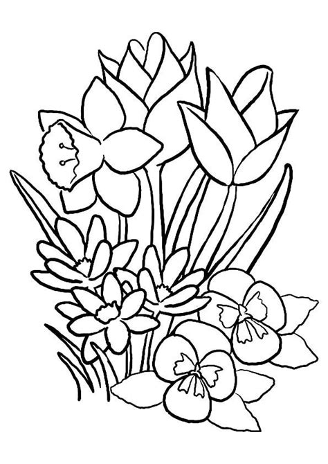 Tulipani Profumati Di Coniglio Da Colorare Scarica Stampa O Colora