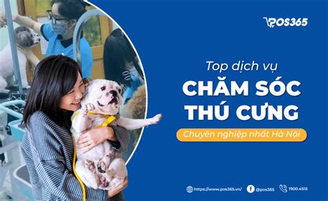 Top 10 dịch vụ chăm sóc thú cưng chuyên nghiệp nhất Hà Nội
