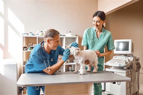 Enoggera Vet Ashgrove Avenue Veterinary Clinic