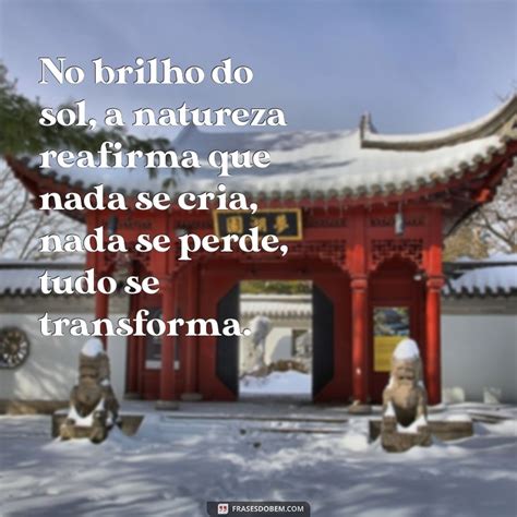 Explorando O Significado Na Natureza Nada Se Cria Nada Se Perde Tudo