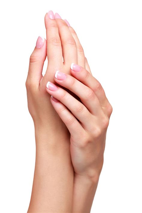Beautiful Female Hands 21116260 Png