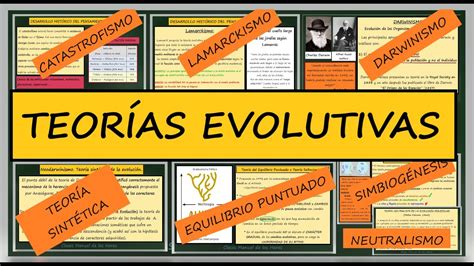 Teorías de la Evolución Lamarckismo Darwinismo Neodarwinismo