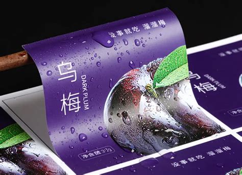 Understanding Lamination Matte Vs Gloss Guide