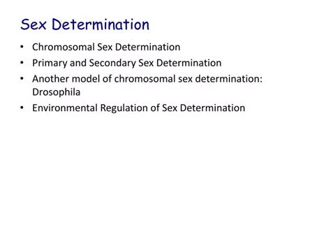 Ppt Sex Determination Powerpoint Presentation Free Download Id 2095001 Free Download Nude