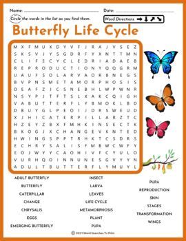 Life Cycle Of A Butterfly Science Puzzles Wordsearch Word The Best