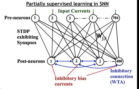 a schematic showing design of snn with completely unsupervised mode download scientific