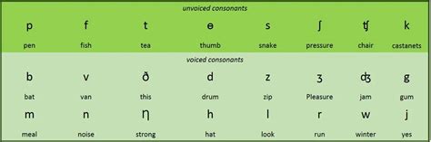 Cuales Son Vocales Y Consonantes